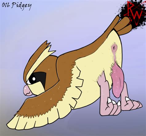 Pidgey