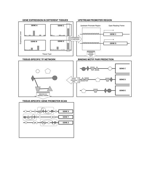 Schematic Of Module Detection Method Based On Tf Interactions Based On Download Scientific