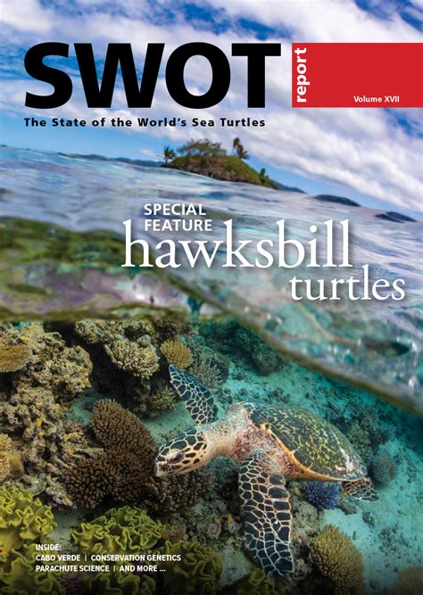 The State Of The World S Sea Turtles SWOT Report Vol 17 2022