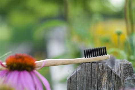 Alte Zahnb Rste Im Garten Anwenden Praktische Tipps