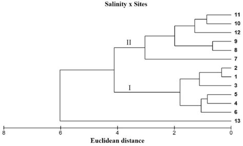 Dendrogram Using The Euclidean Distance Based On Salinity Values At The