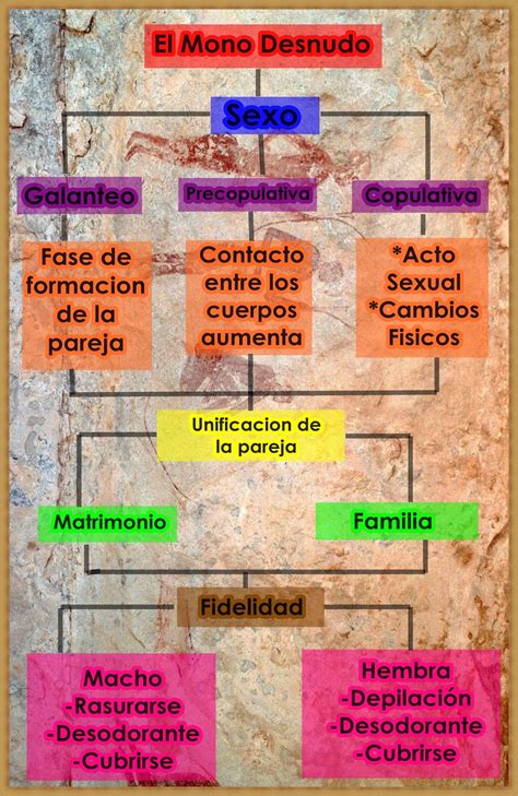 Soziokulturelle Anthropologie El Mono Desnudo D Examen