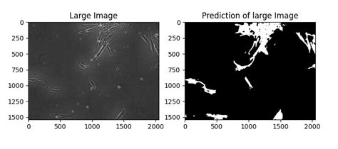 GitHub Fyzie Autonomous Cell Counting And Handling RBTX 2021 Cell