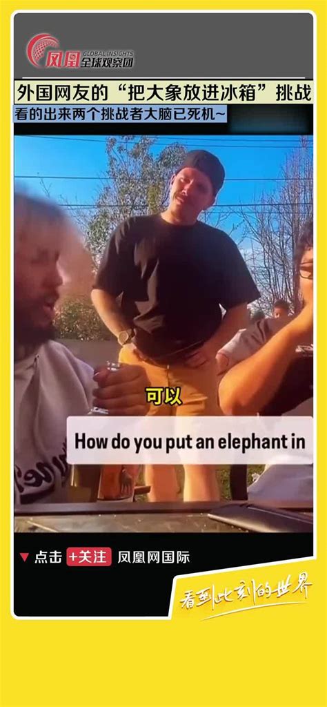外国网友的“把大象放进冰箱”挑战，看得出来两个挑战者大脑已“死机”～ 搞笑 把大象放进冰箱 兄弟 挑战 凤凰网视频 凤凰网