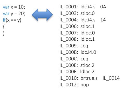 Decompiling Net Applications