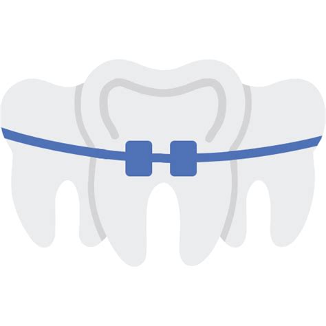 Braces Generic Color Fill Icon