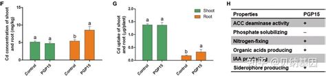 项目文章 Frontiers In Plant Science期刊，通过芽孢杆菌pgp15加强对重金属的植物修复研究成果 知乎