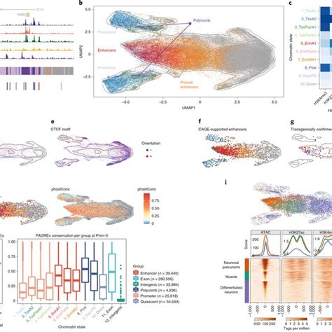 Classification Of Developmental Cis Regulatory Elements A Genome Download Scientific Diagram