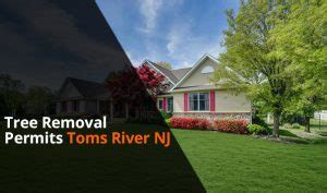 Tree Removal Laws Permits Toms River NJ Quick Summary