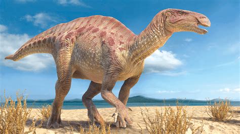 Perfectly Preserved Dinosaur Embryo Found Inside Fossilized Egg