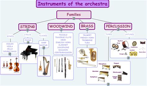 Instruments Of The Orchestra
