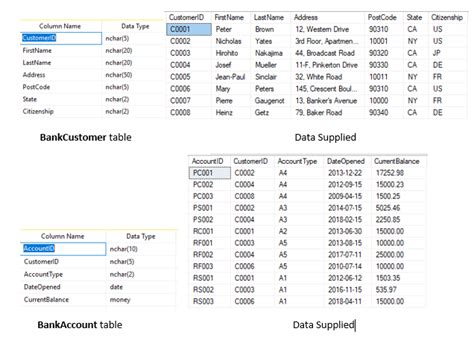 Practical Application For Database Programming Retrieving Data In