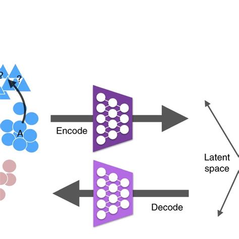 Scgen Predicts Single Cell Perturbation Responses Request Pdf