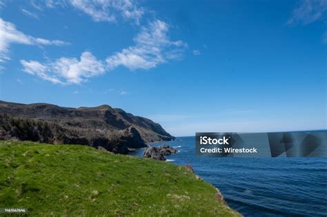 캐나다 뉴펀들랜드 해안에 있는 무성한 녹색 초목과 가파른 바위 절벽이 있는 아름다운 풍경 0명에 대한 스톡 사진 및 기타 이미지 0명 가파른 경관 Istock