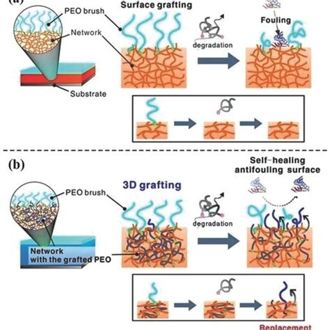 A Chemical Structure Of Fas And Pvdfhfp B Schematic Coating