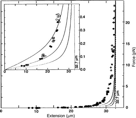 The Development Of Single Molecule Force Spectroscopy From Polymer