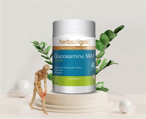 Herbs of Gold Glucosamine Max 90 Tablets • Nourish Health Food Pharmacy ...