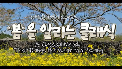 봄의 느낌을 가져다 주는 따스한 선율의 클래식 꼭 들어야 봄이 오는 듯 한 Youtube