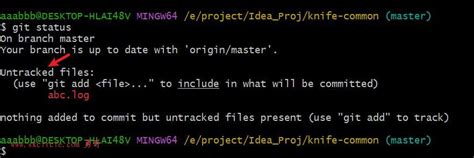 git 取消文件跟踪 tracked改为untracked 版本控制 少有人走的路