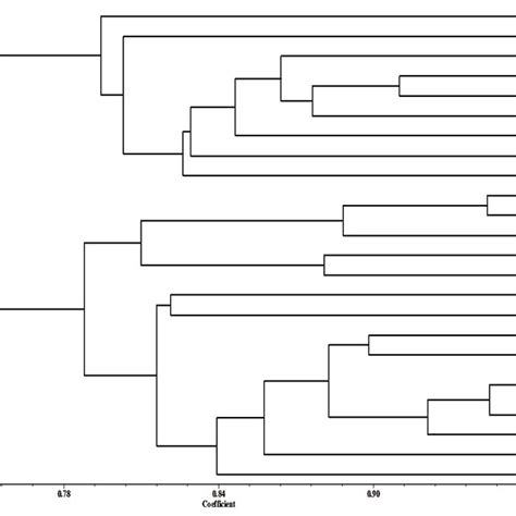Genetic Similarity Dendrogram Based Given Reference 37 For 19 Lines Download Scientific