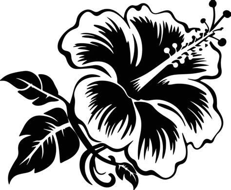Hawaiian Flower Silhouette Vector Art Icons And Graphics For Free