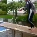 Gif Dangerous Behaviour JoyReactor