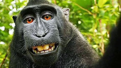 The 1709 Blog 2014 The Copyright Year