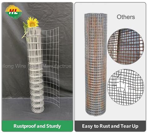 china 2 x4 mesh 24 x100 14 gauge galvanized wire mesh rolls rustproof