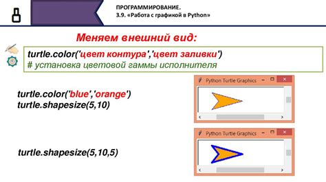 Работа с графикой в Python Знакомство с модулем Turtle черепашка