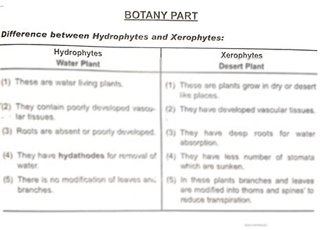 SOLUTION Difference Between Hydrophytes And Xerophytes Homeostasis