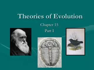 PPT Chapter 32 Theories Of Evolution PowerPoint Presentation Free