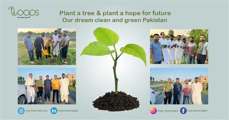 Loops Technologies On Linkedin Tree Plantation Activity