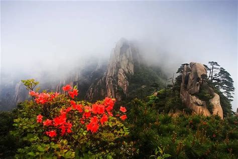 三清山官网
