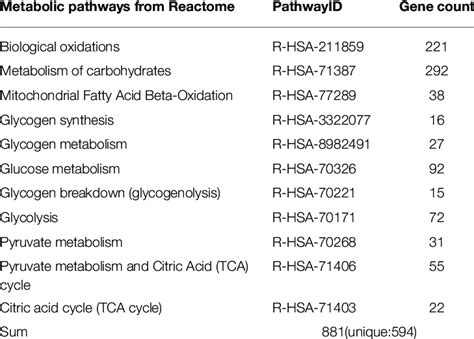 Pathways Related To Energy Metabolism In The Reactome Database Download Scientific Diagram