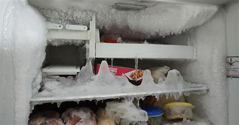 Freezer Iced Ice Increasing Every Day Cleaned 10 Days Ago Issue