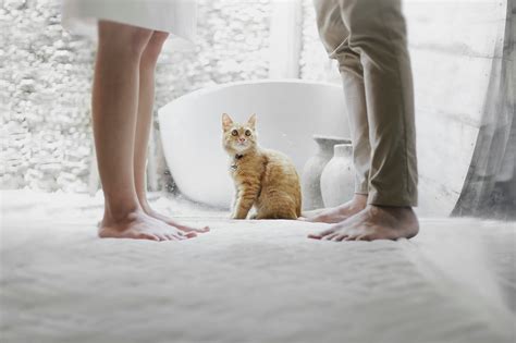 How To Fix A Stuck Sex Life Part Two By Julia Kukard Sep 2024