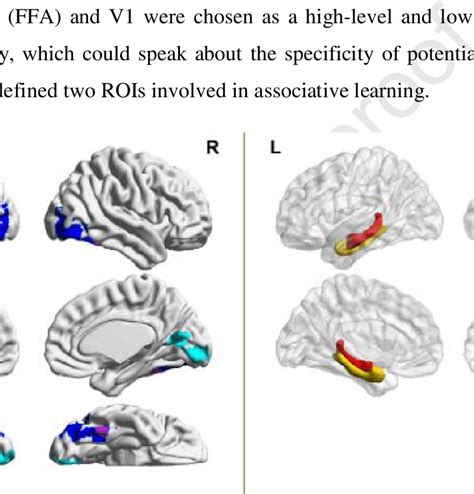 Regions Of Interest Roi For One Subject Visual Rois Are Presented In