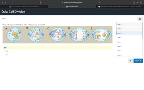Lecture Exam Practice Test Flashcards Quizlet Lecture Exam Practice Test Flashcards Quizlet