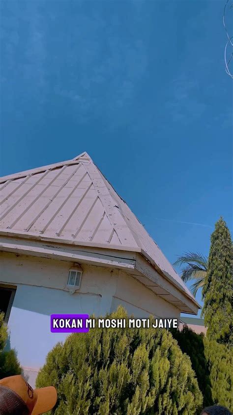 Xylesmd • Instagram Photos And Videos