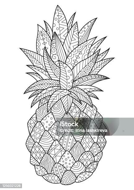 낙서 색칠 공부 페이지 파인애플 성인을위한 안티 트레스 흑백 일러스트레이션 음식에 대한 스톡 벡터 아트 및 기타 이미지 음식 0명 검은색 Istock