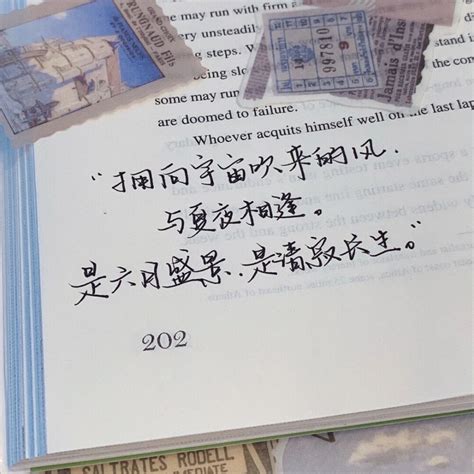 语录分享 ©️小熊手写 堆糖，美图壁纸兴趣社区