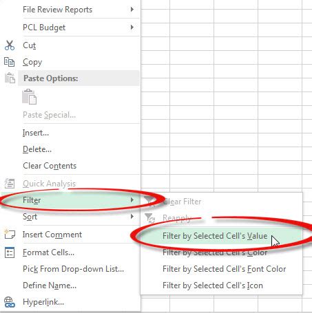 Excel Filter Trick A4 Accounting