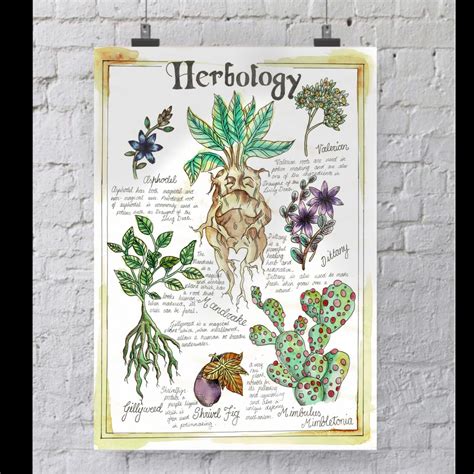 Herbology Harry Potter Artistic Print Hogwarts Mandrake Etsy