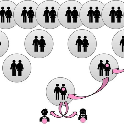Illustration Of Mtdna Inheritance Over Four Generations Indicates
