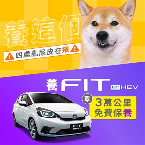 養🐱🐶 的人就知道， 現實，永遠不如想像中美好， Honda Taiwan 粉絲團