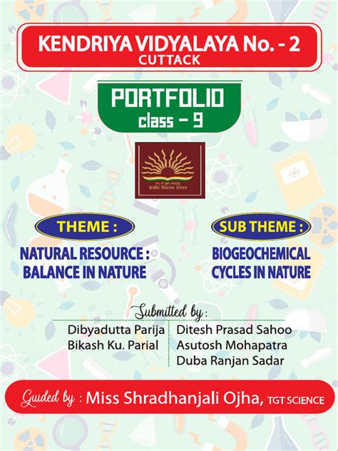 Science Portfolio Final Pdf