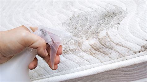 3 Mattress Cleaning Tips To Remove Urine And Sweat Stains Toms Guide