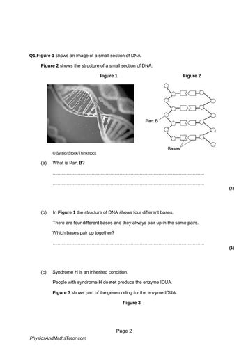 Gcse Ccea Biology Genetics Complete Revision Summary Teaching Resources