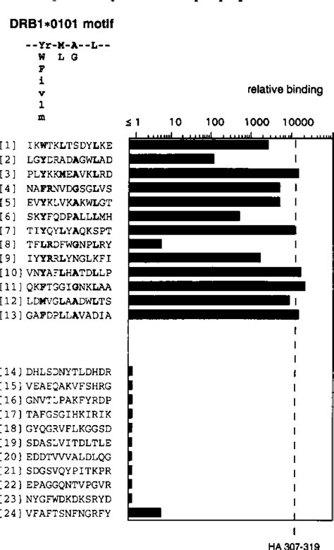 Figure 5 From High Affinity Binding Of Short Peptides To Major