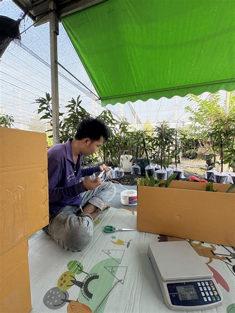 เมืองไม้ผล โปรตีนเป็นสารประกอบอินทรีย์ที่พบมากในเซลล์และเนื้อเยื่อของ